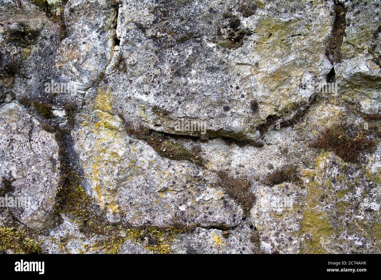 Texture natural stone wall overgrown with moss. Large and small stones ...