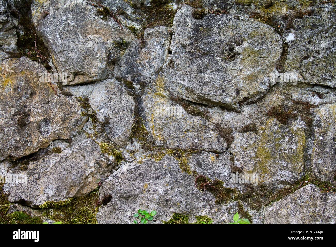 Texture natural stone wall overgrown with moss. Large and small stones ...