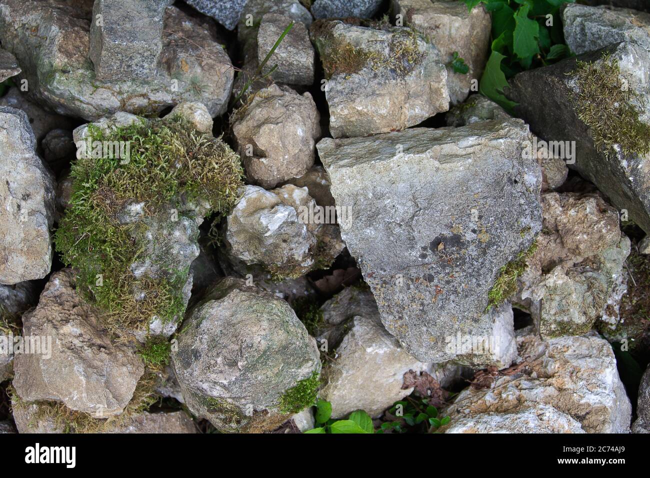 Texture natural stone wall overgrown with moss. Large and small stones ...