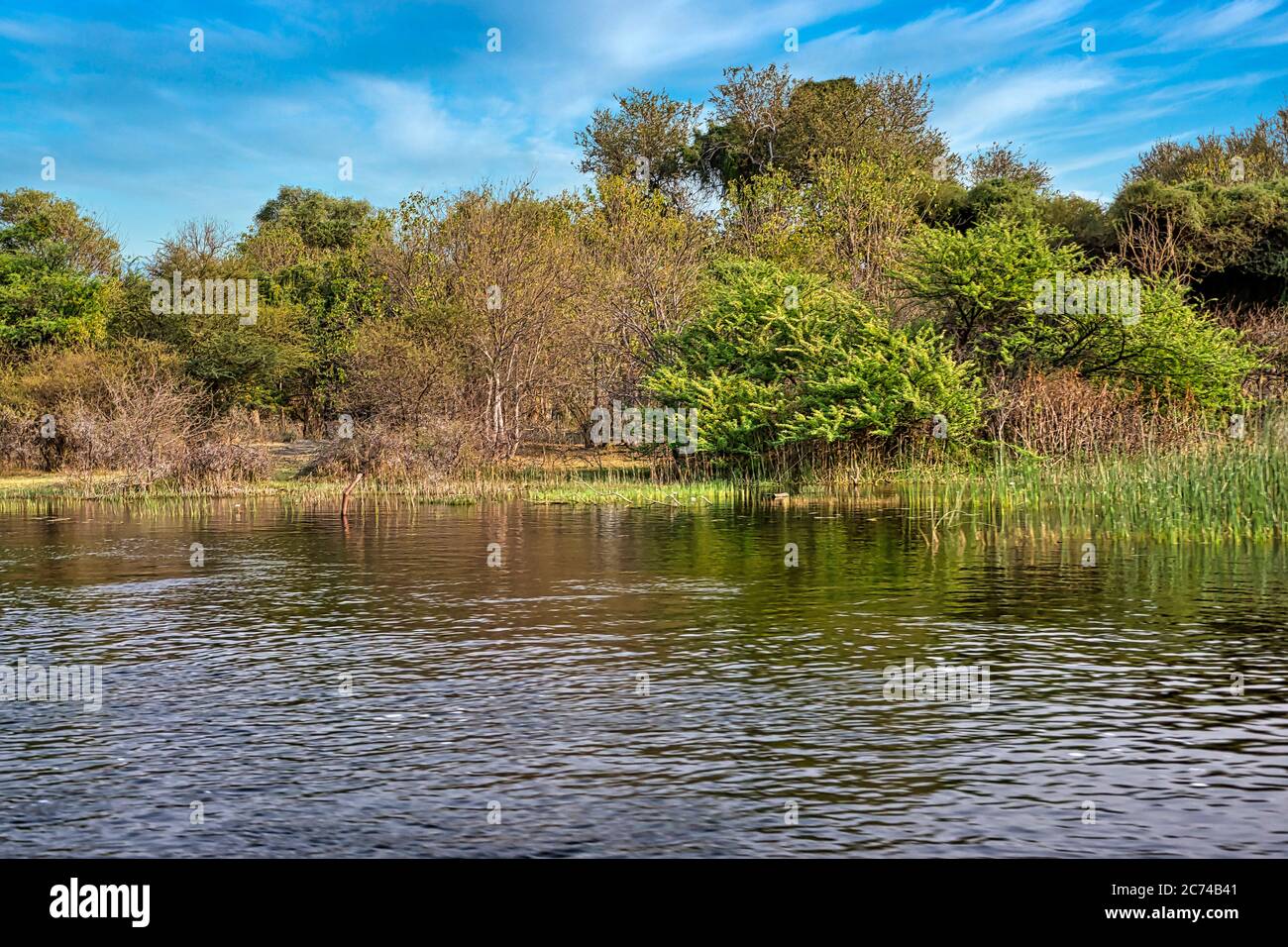 Wetlands Landscape, Okavango Delta, Botswana, Africa Stock Photo - Alamy