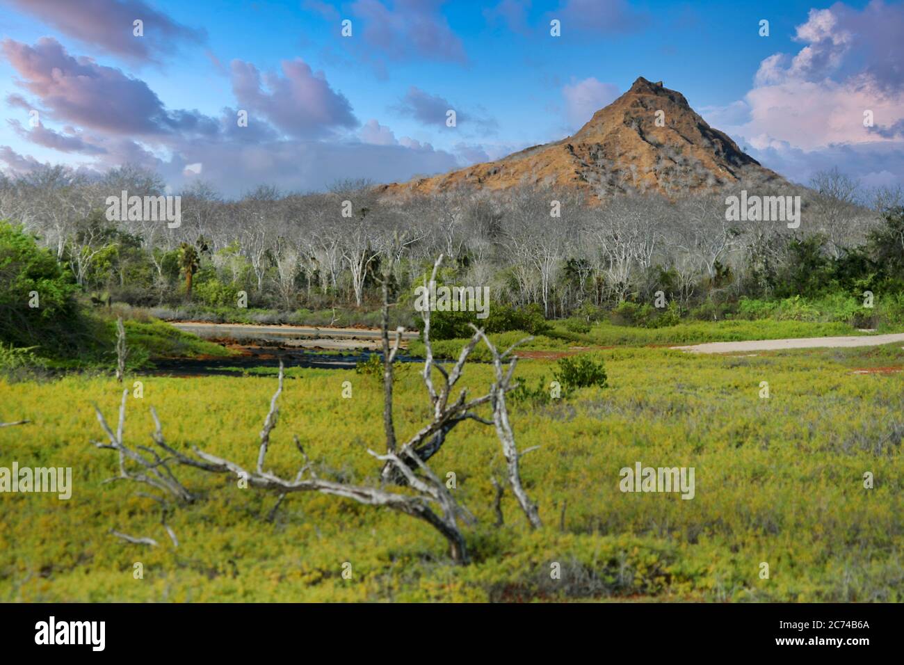 Galápagos Islands, Galápagos National Park, UNESCO World Heritage Site ...