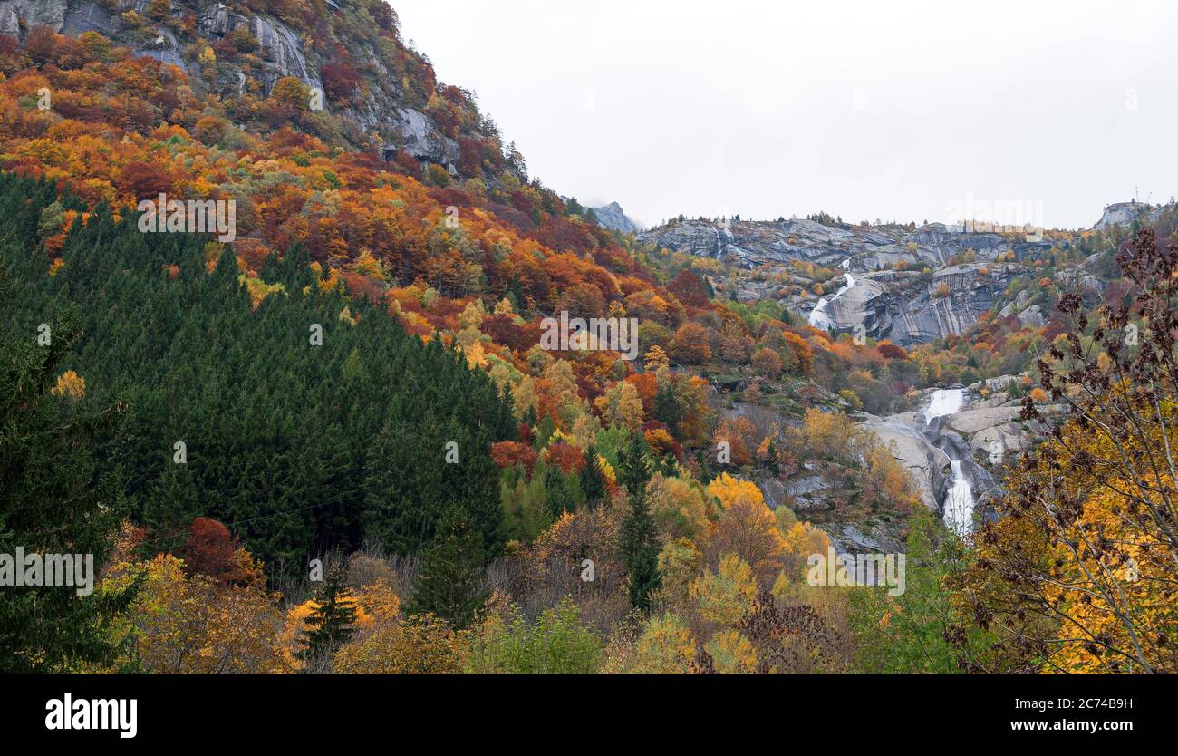 Italy, Lombardia: Trees with autumn colors climbing on the rocks Stock ...