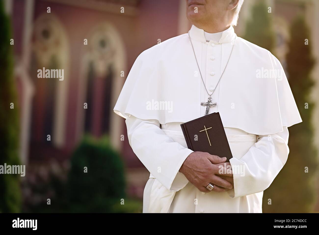 Pope holding a Bible in the garden Stock Photo - Alamy