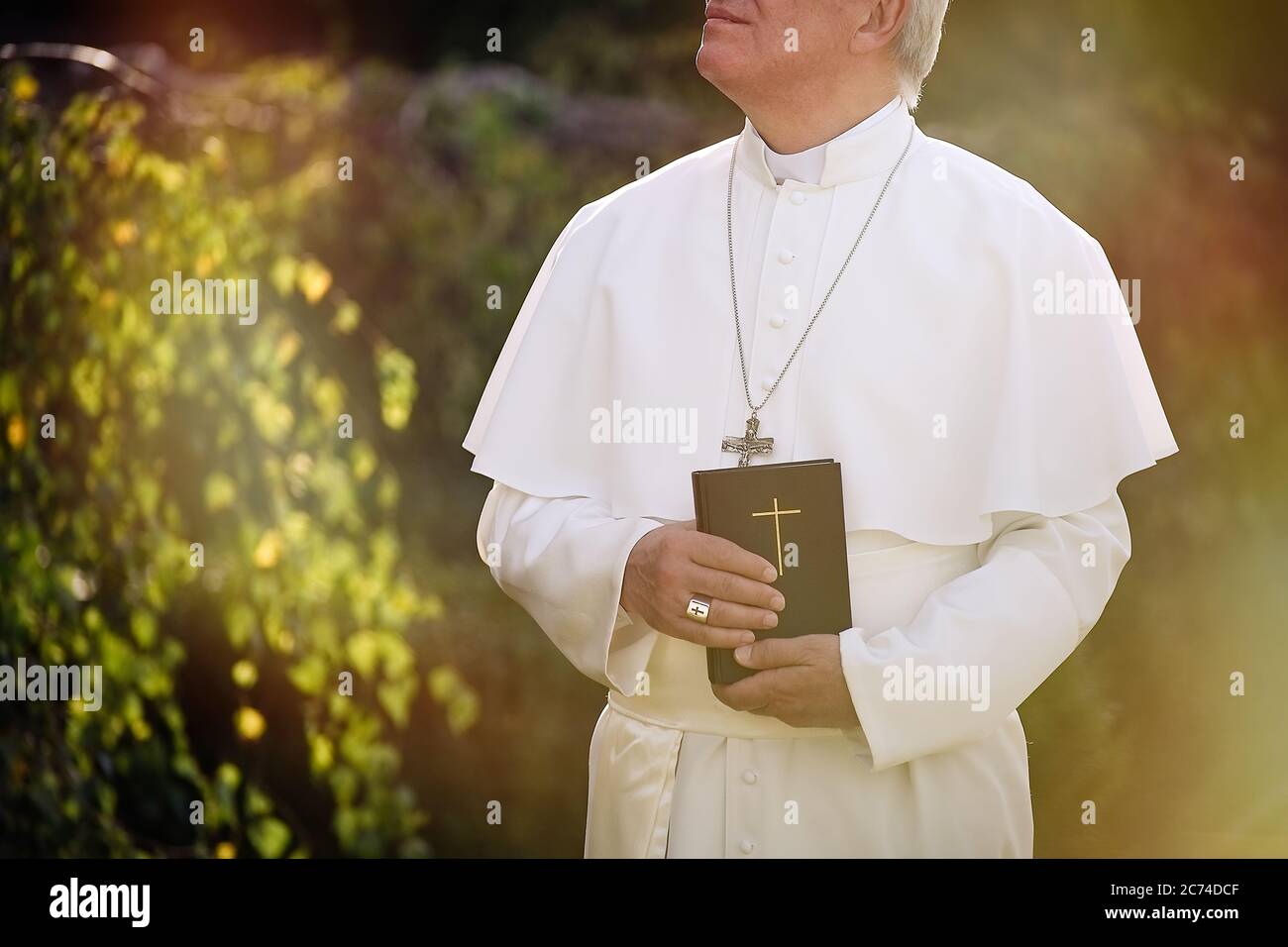Pope holding a Bible in the garden Stock Photo - Alamy