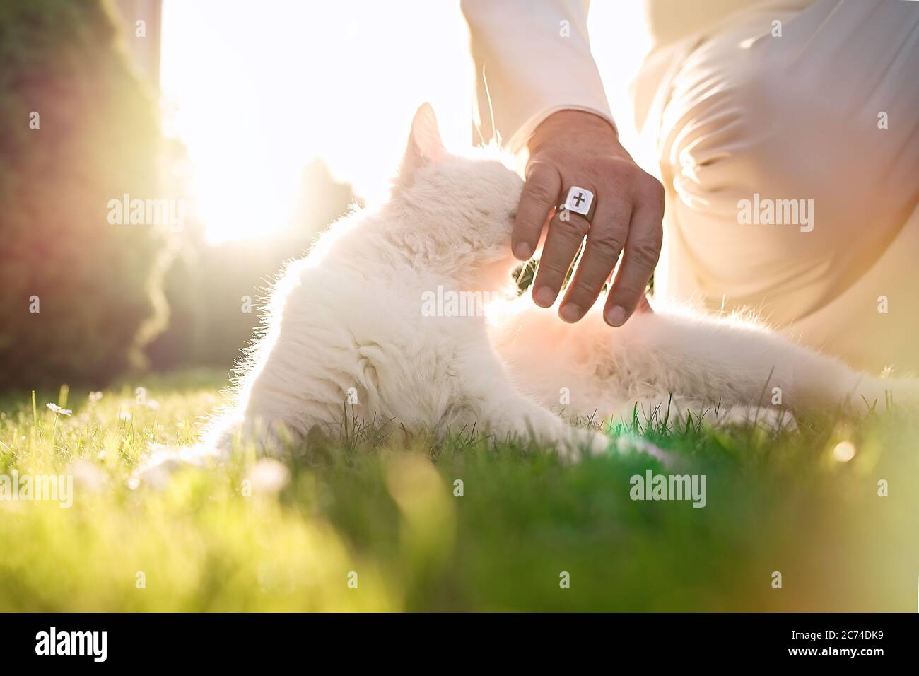 Chaplain symbol hi-res stock photography and images - Alamy