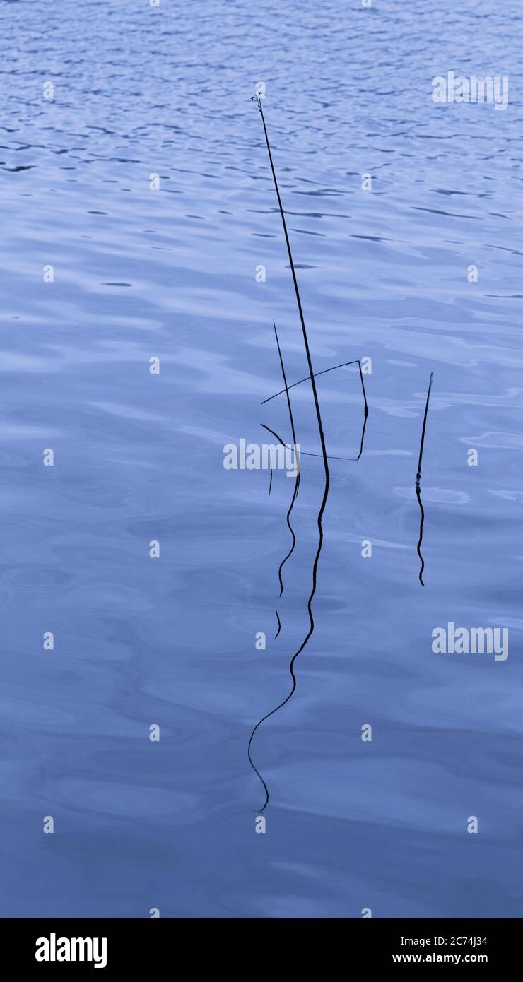 Water with gentle ripples hi-res stock photography and images - Alamy