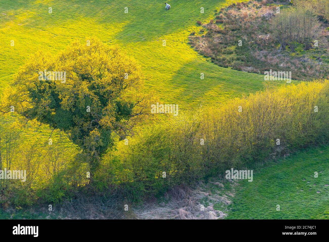 2020 landscape hi-res stock photography and images - Alamy