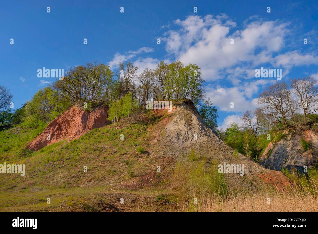 lime pit Lieth, national geotop, Germany, NSG Liether Kalkgrube, Klein ...
