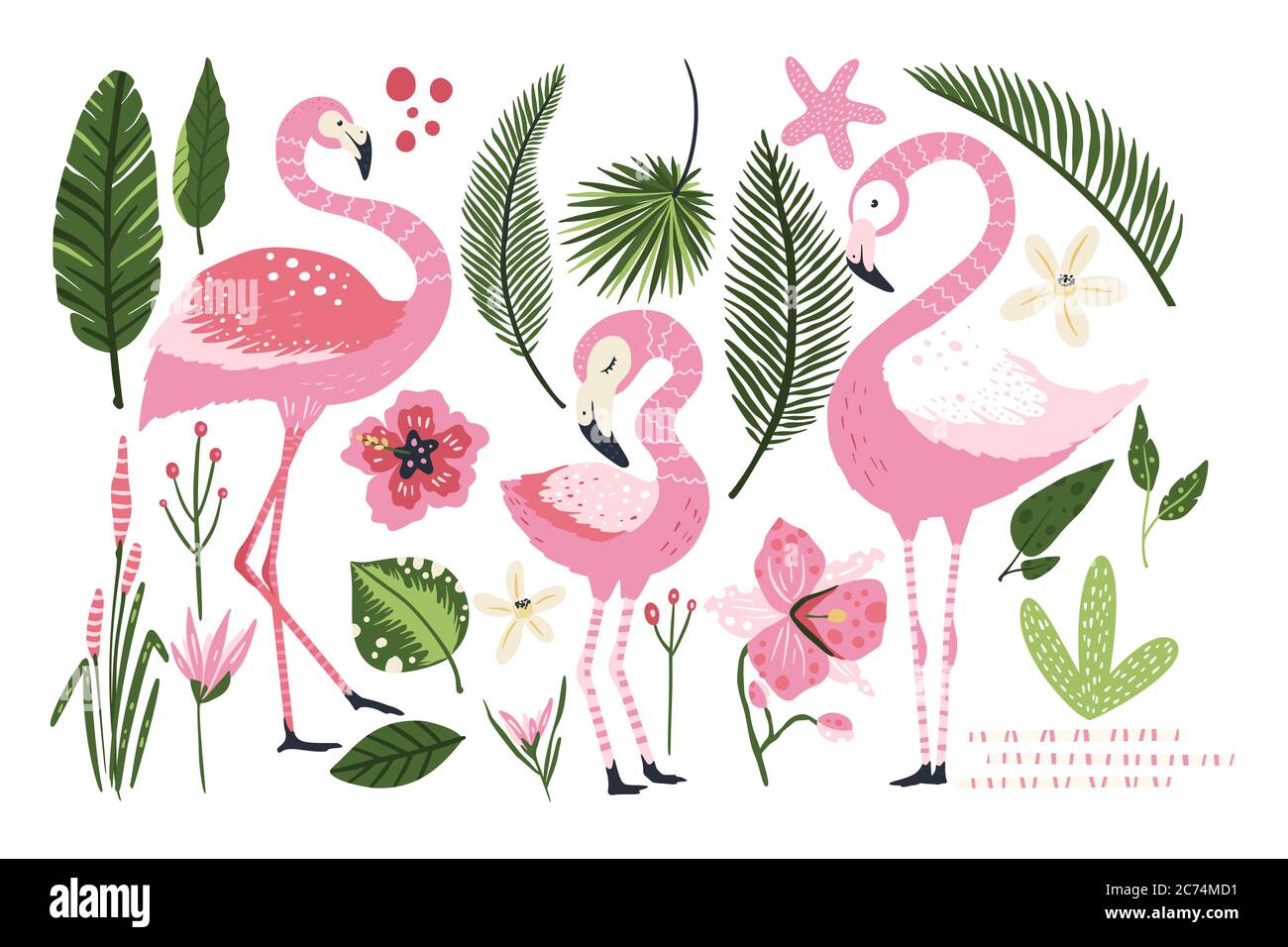 Flamingo vector cartoon animal set Stock Vector Image & Art - Alamy