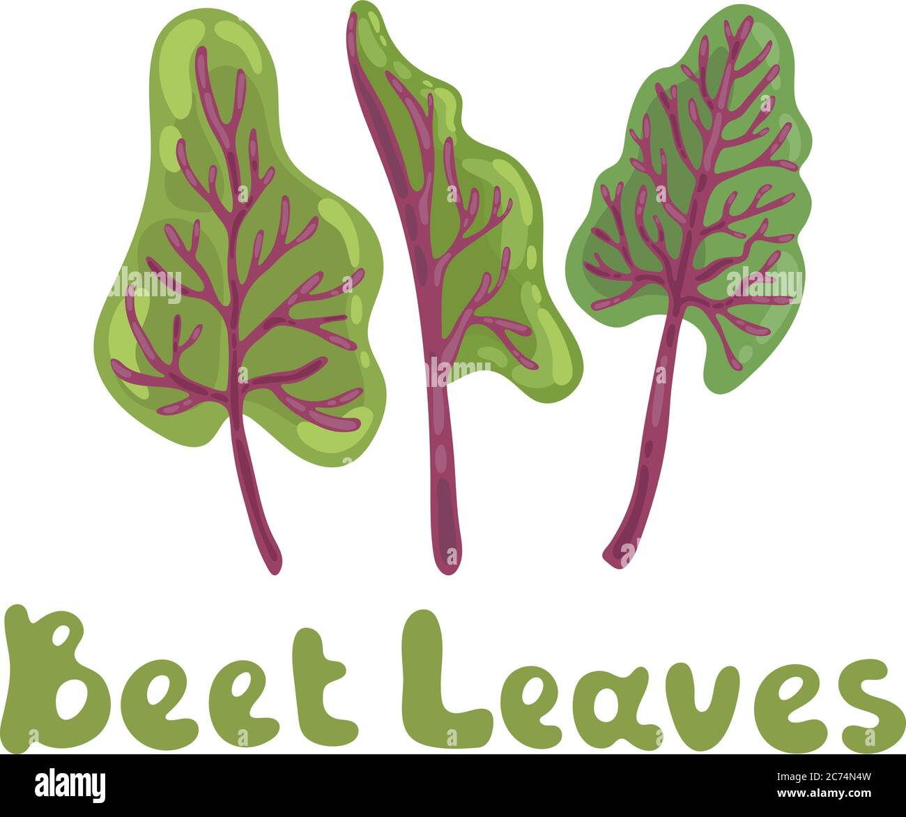 Chard greens Stock Vector Images - Alamy
