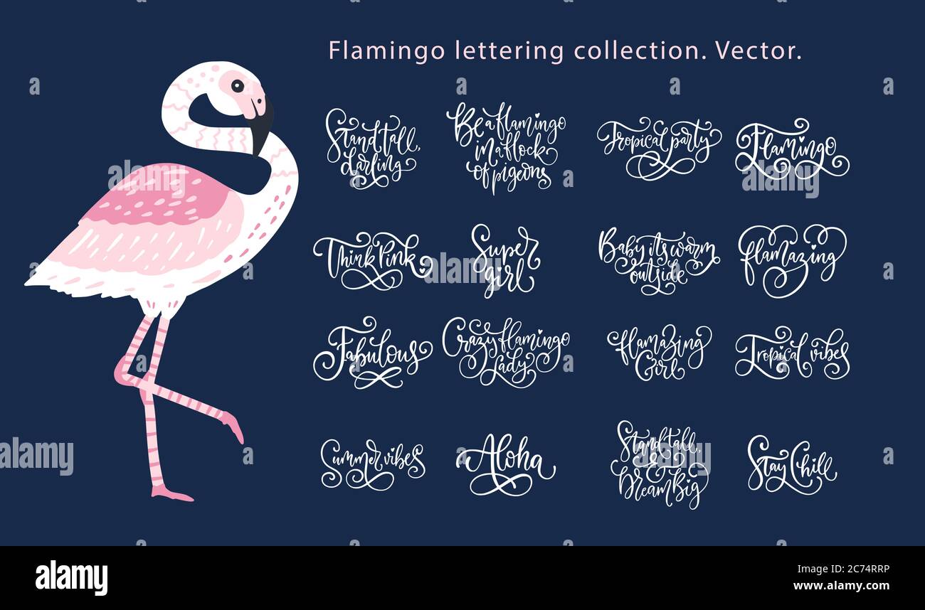 Summer lettering flamingo girly vector set Stock Vector Image & Art - Alamy