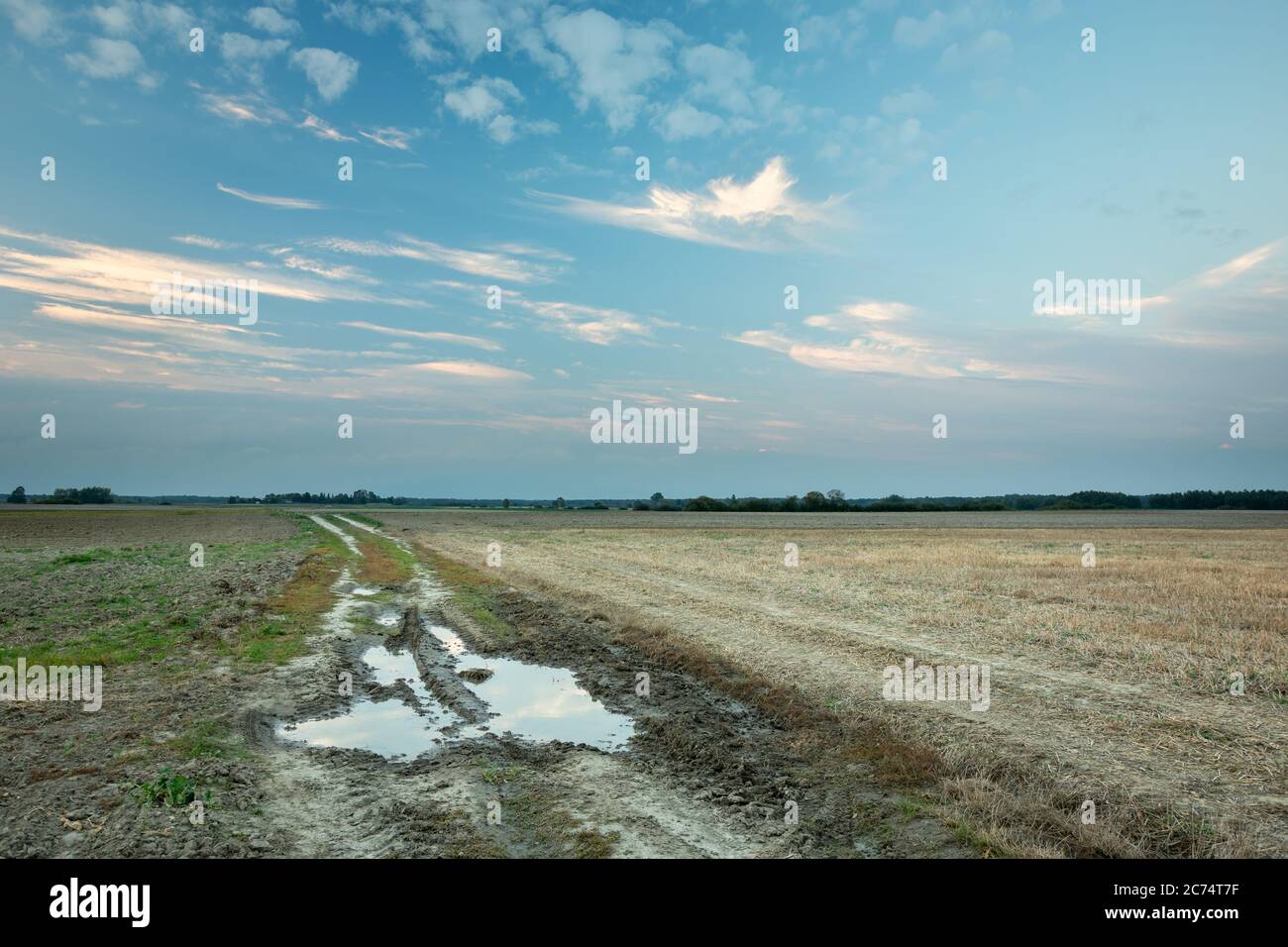 Muddy puddle road after rain hi-res stock photography and images - Alamy