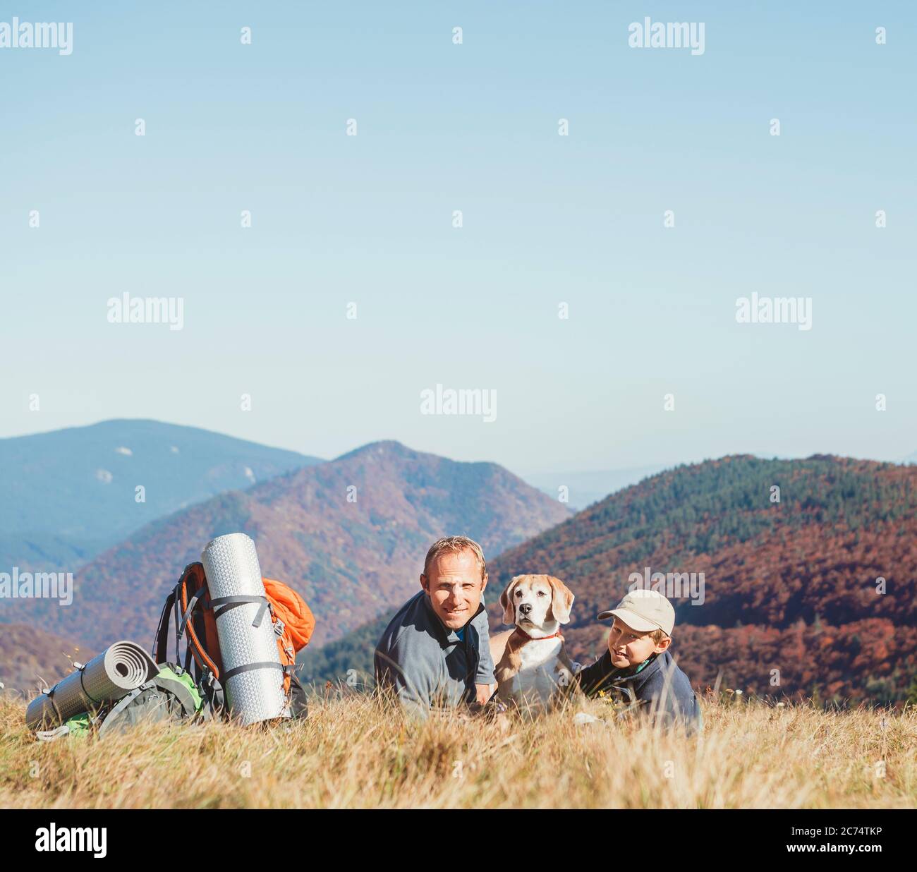 Camp beagle hi-res stock photography and images - Alamy