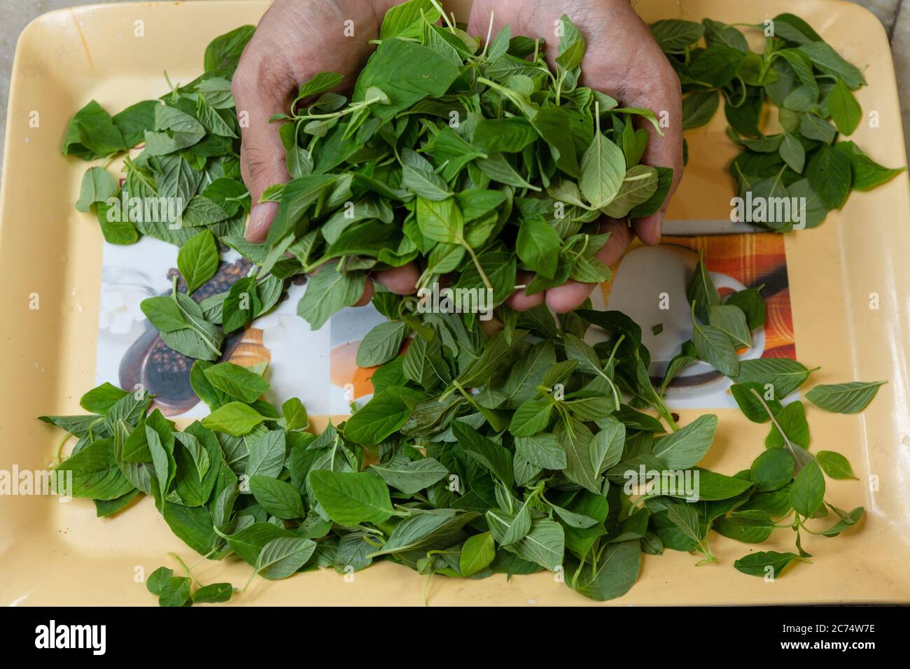 Amaranth leaves hi-res stock photography and images - Alamy