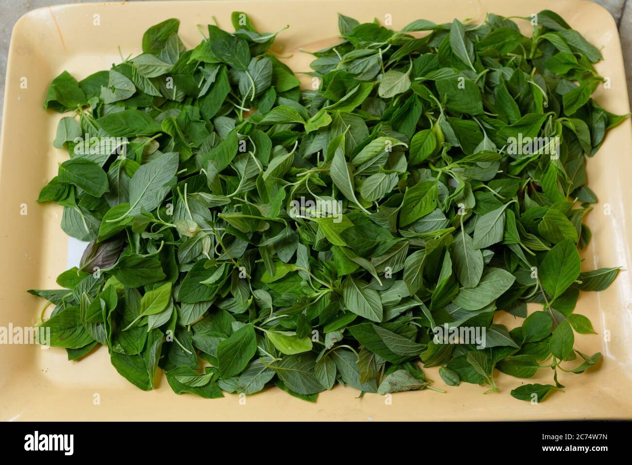 Amaranth leaves hi-res stock photography and images - Alamy