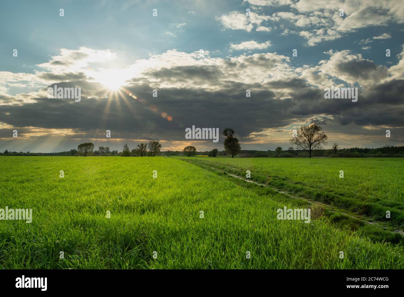 Spring sunshine sun beam hi-res stock photography and images - Alamy
