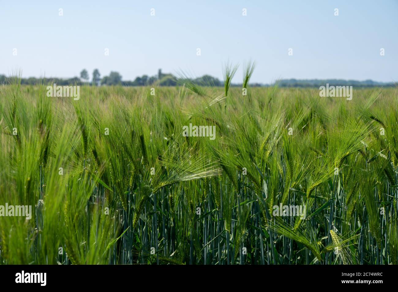 Spring landscape dundee hi-res stock photography and images - Alamy