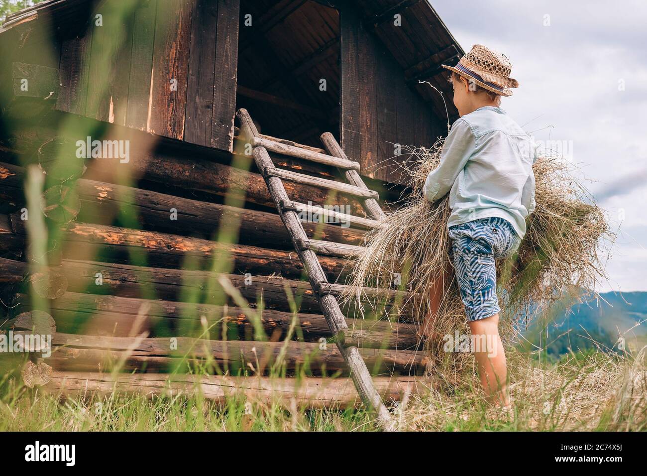 Boy helps put hay in the hayloft Stock Photo - Alamy