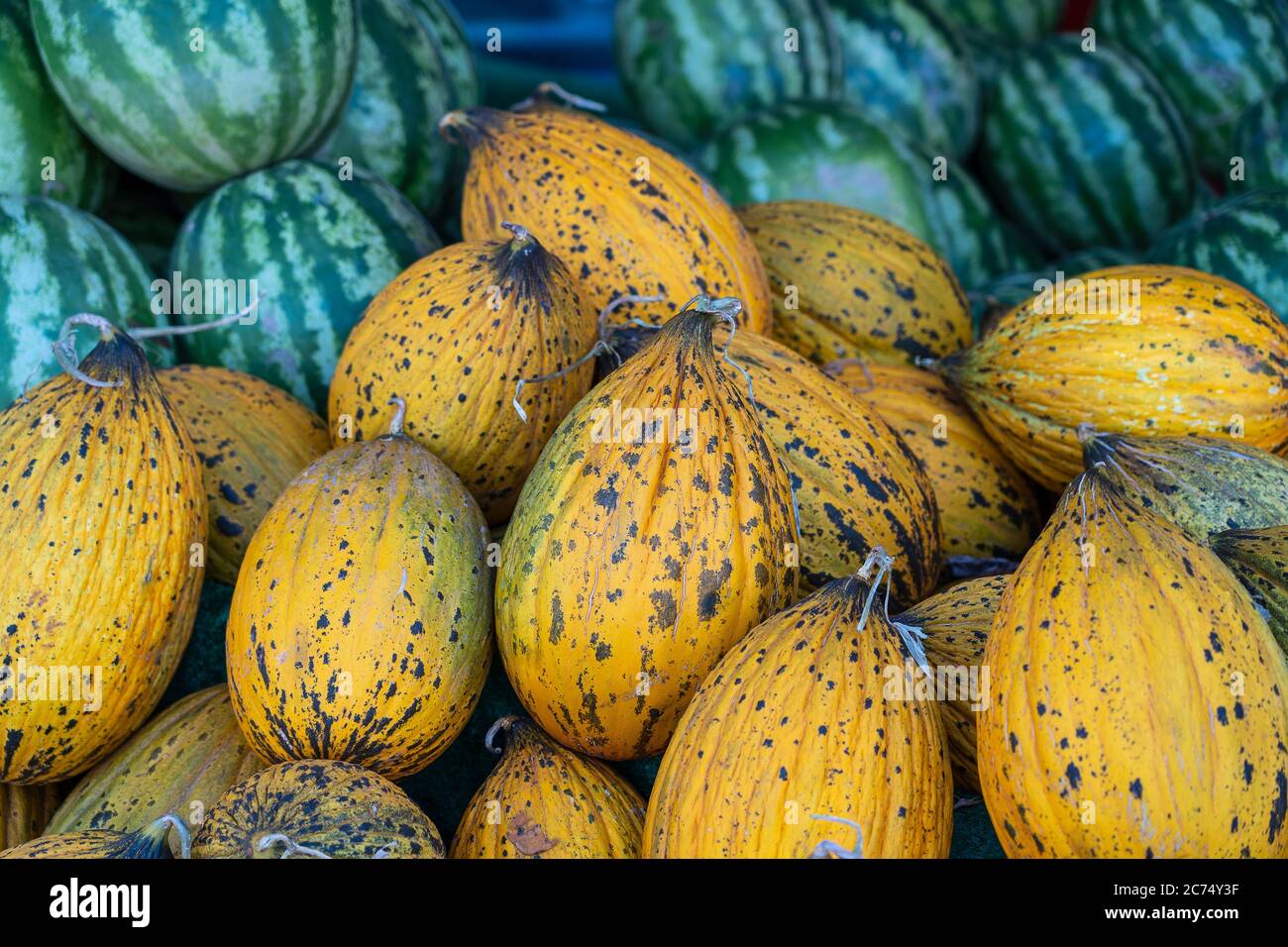 Watermelon and melon at a marketplace. Ripe juicy melons and ...