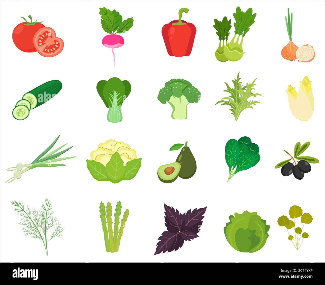 Green fresh basil herbs Stock Vector Images - Alamy