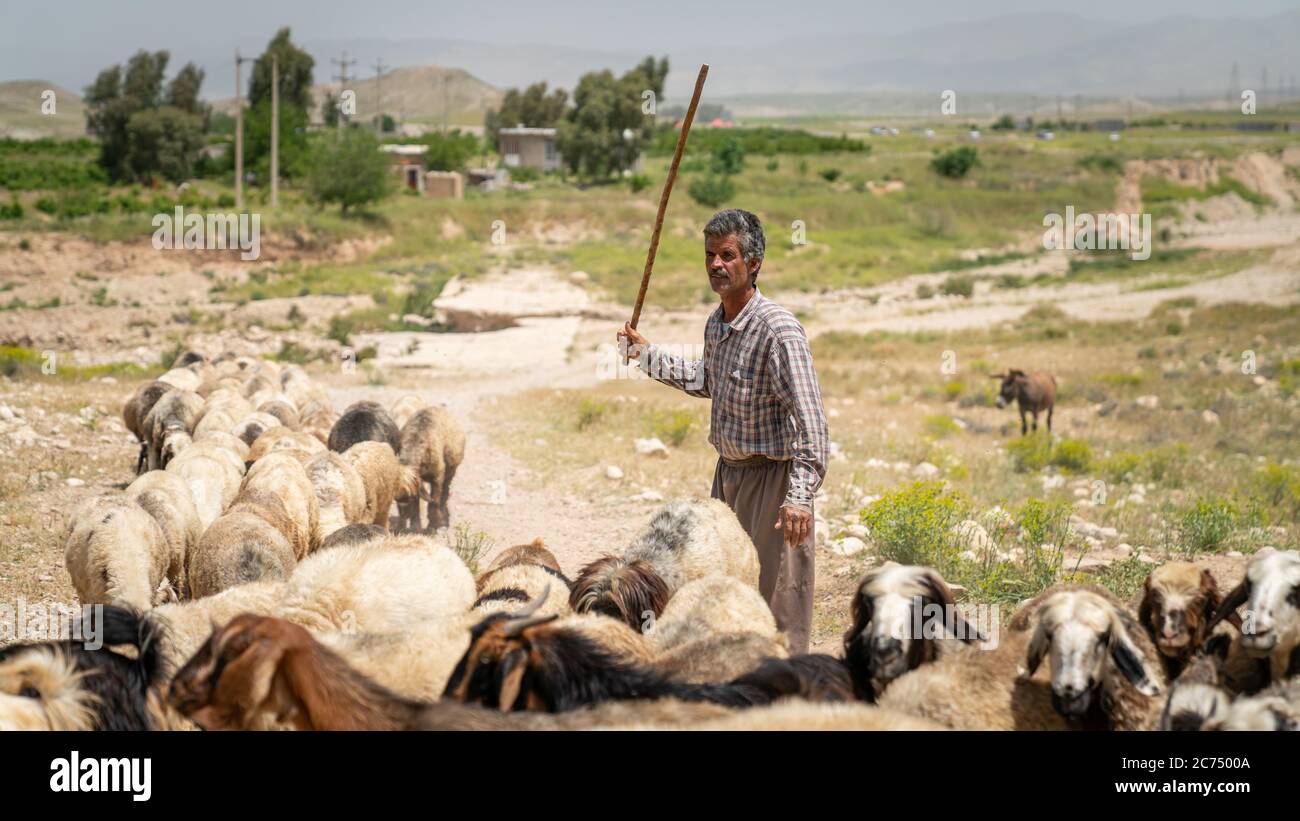 Iranian rural shepherd iran hi-res stock photography and images - Alamy