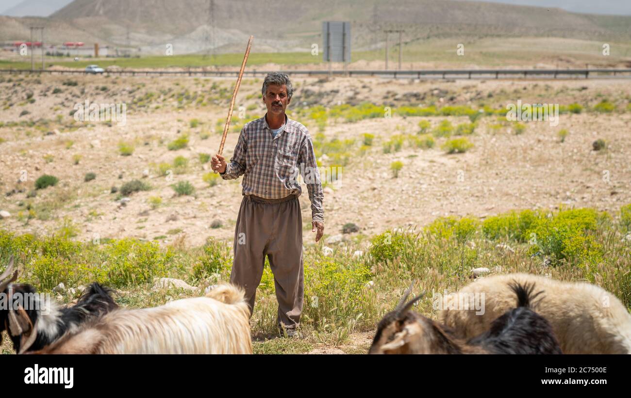 Iranian rural shepherd iran hi-res stock photography and images - Alamy