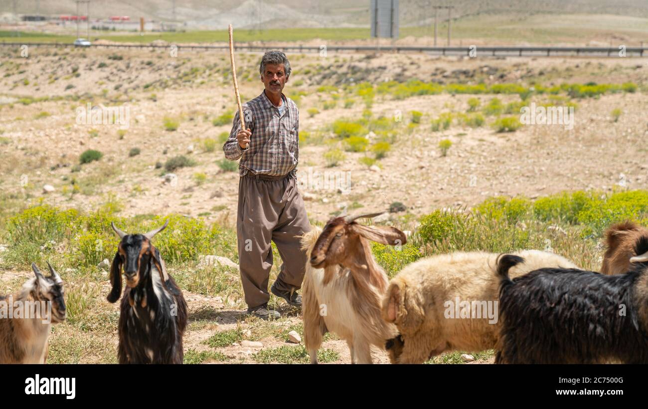 Iranian rural shepherd iran hi-res stock photography and images - Alamy