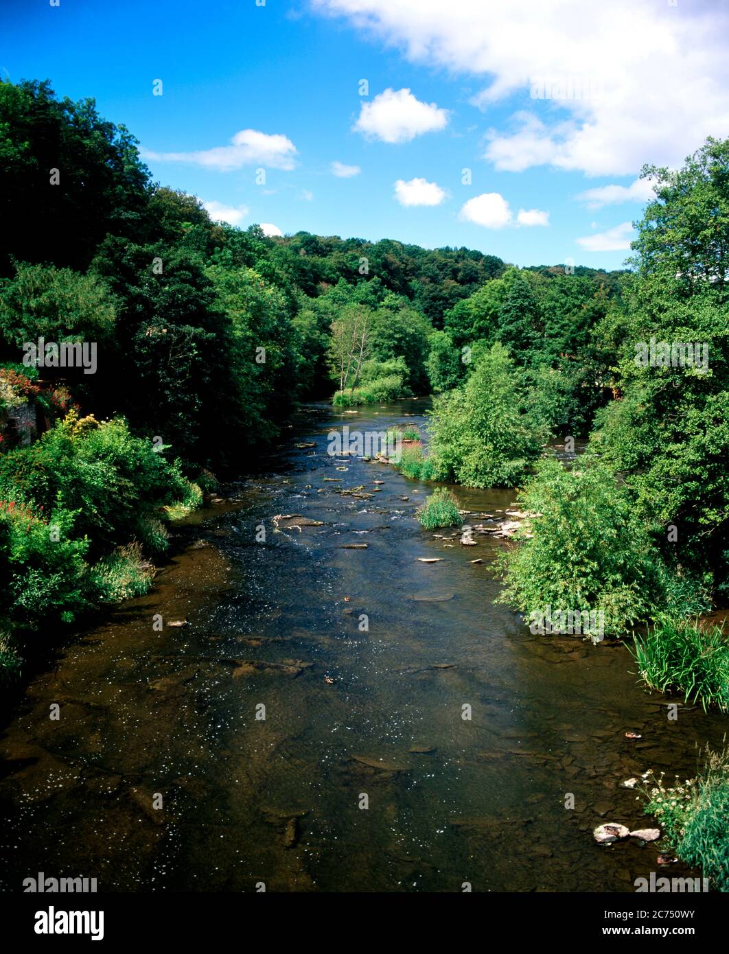 River Teme, Ludlow, Shropshire Stock Photo - Alamy