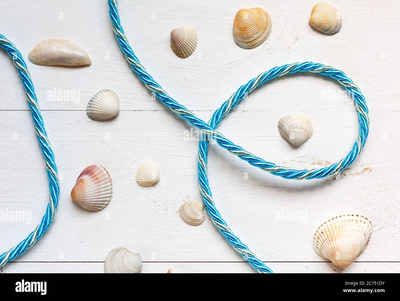 Summer sea vacation concept background. Various seashells and mooring ...