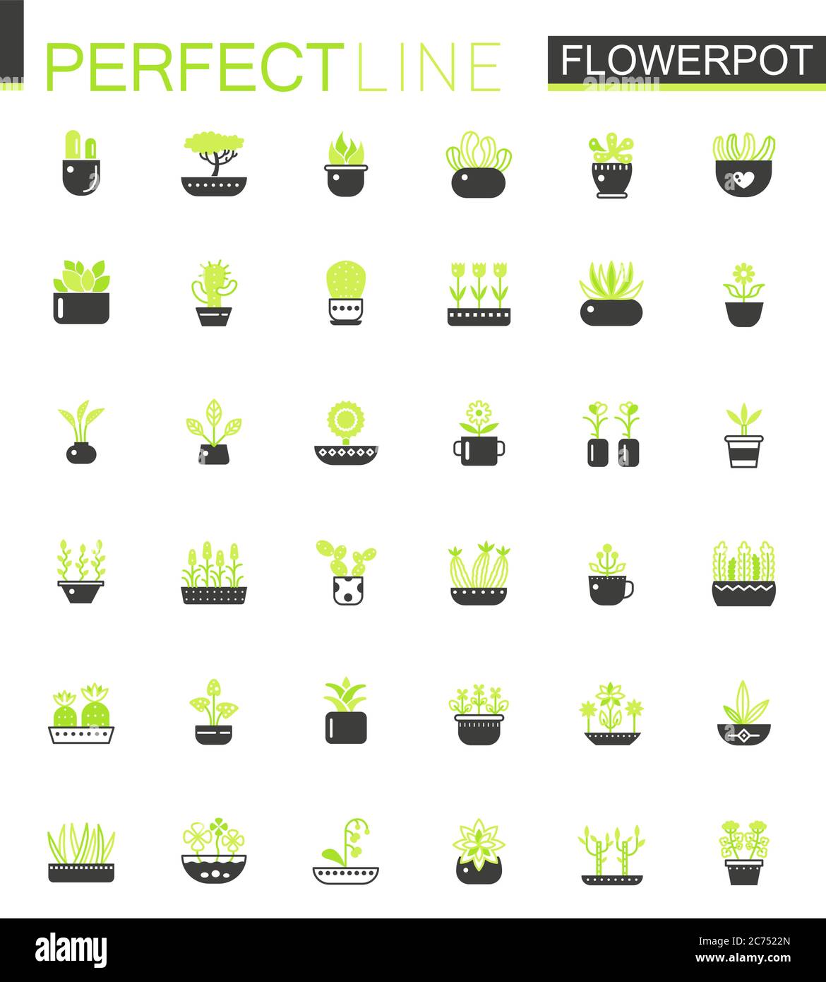 Double color Black green classic House plants and flowers in Flowerpots ...