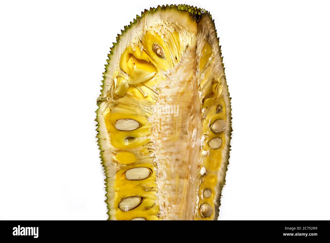 slice jackfruit isolated on white backgrounds Stock Photo - Alamy