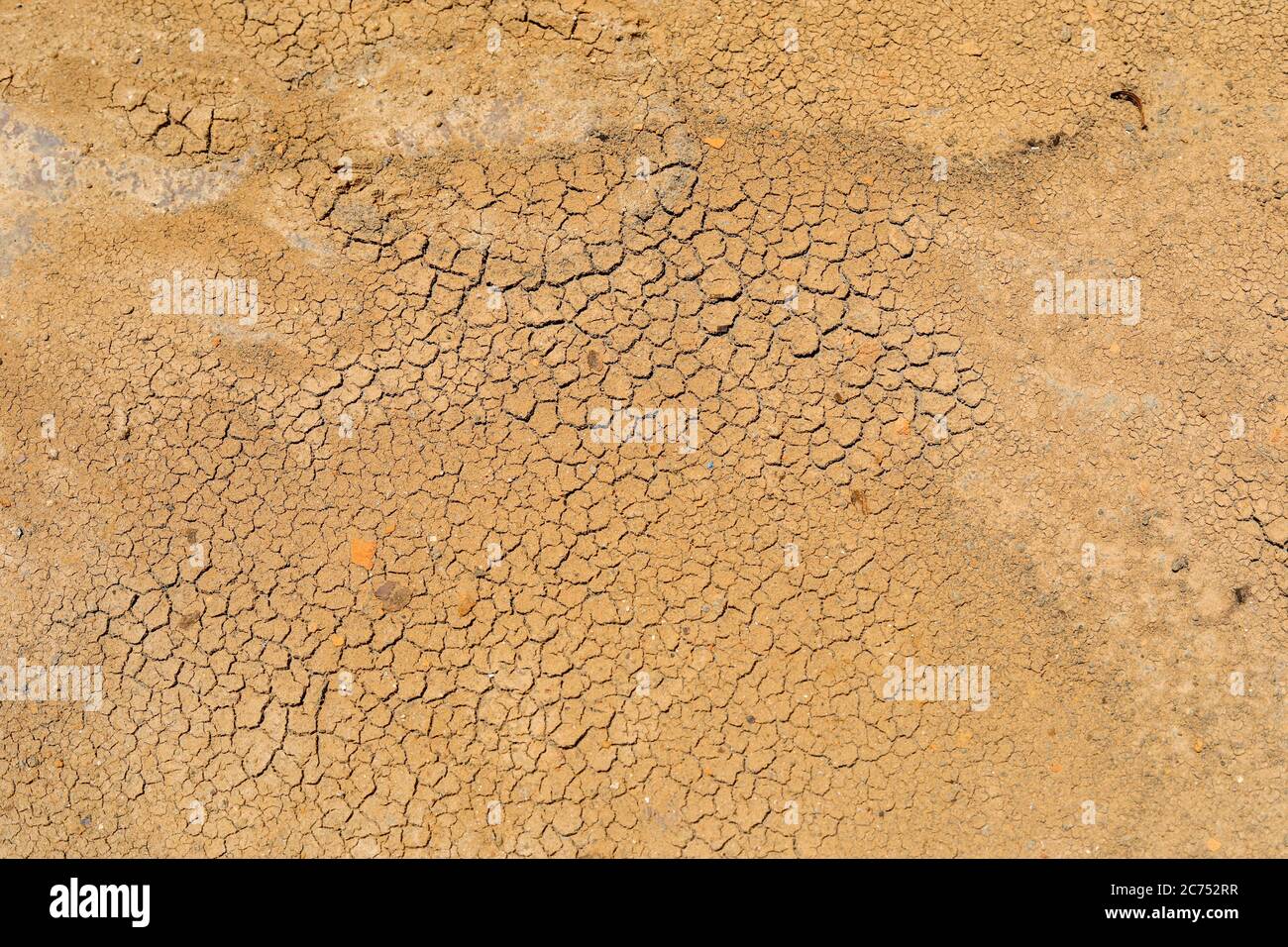 Texture of dry and dehydrated ground surface with crack Stock Photo - Alamy