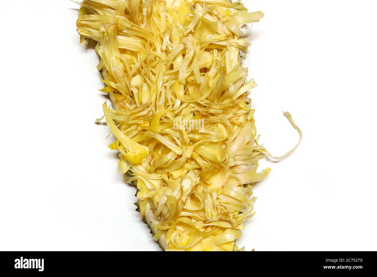 jackfruit waste isolated on a white backgrounds Stock Photo - Alamy