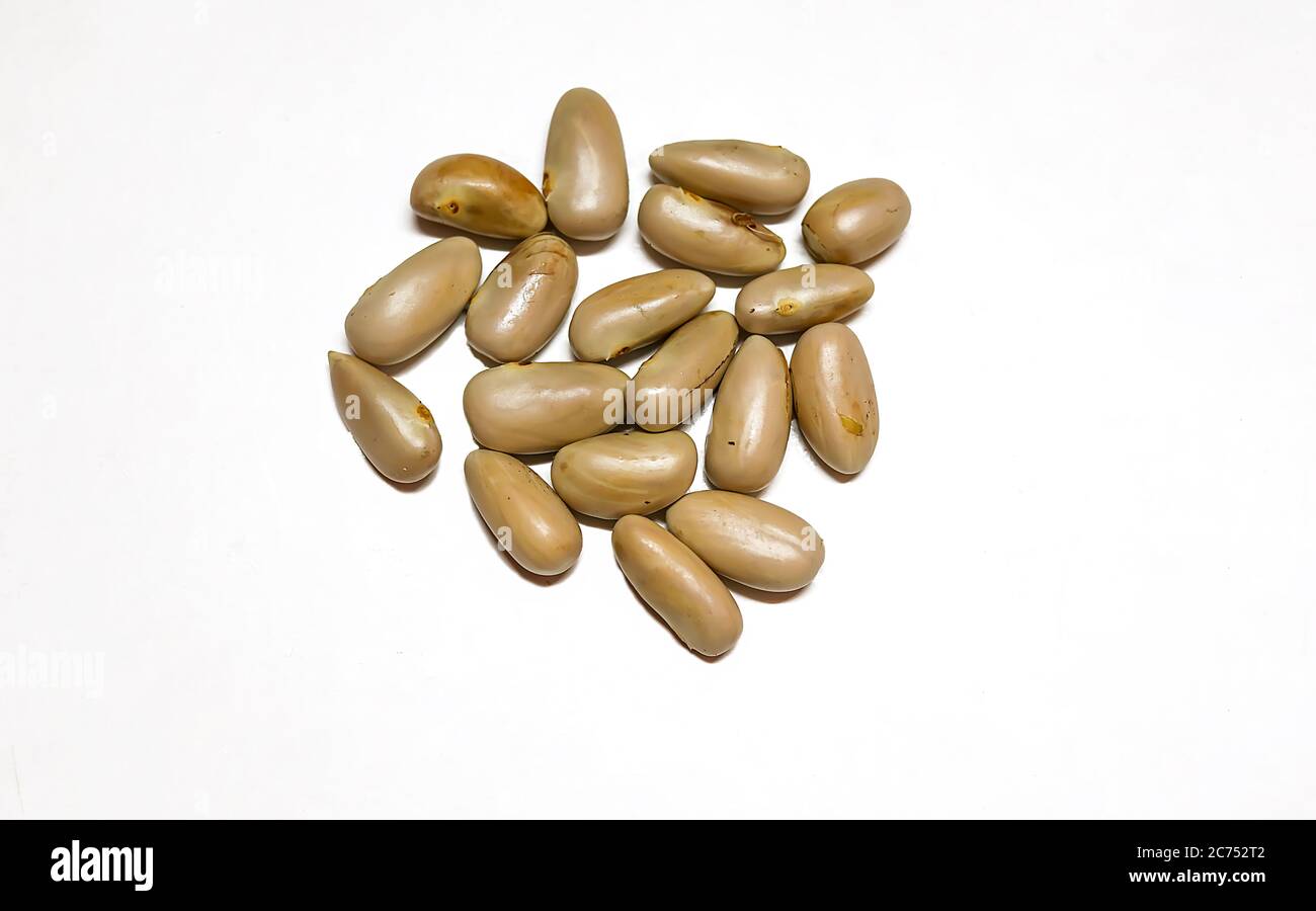 Raw Jackfruit seeds isolated on white backgrounds Stock Photo - Alamy