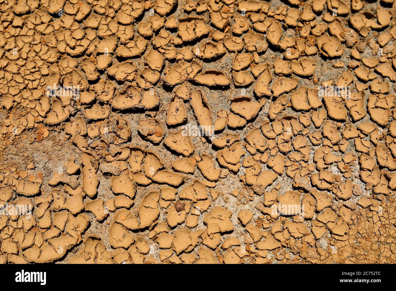 Cracked clay india hi-res stock photography and images - Alamy