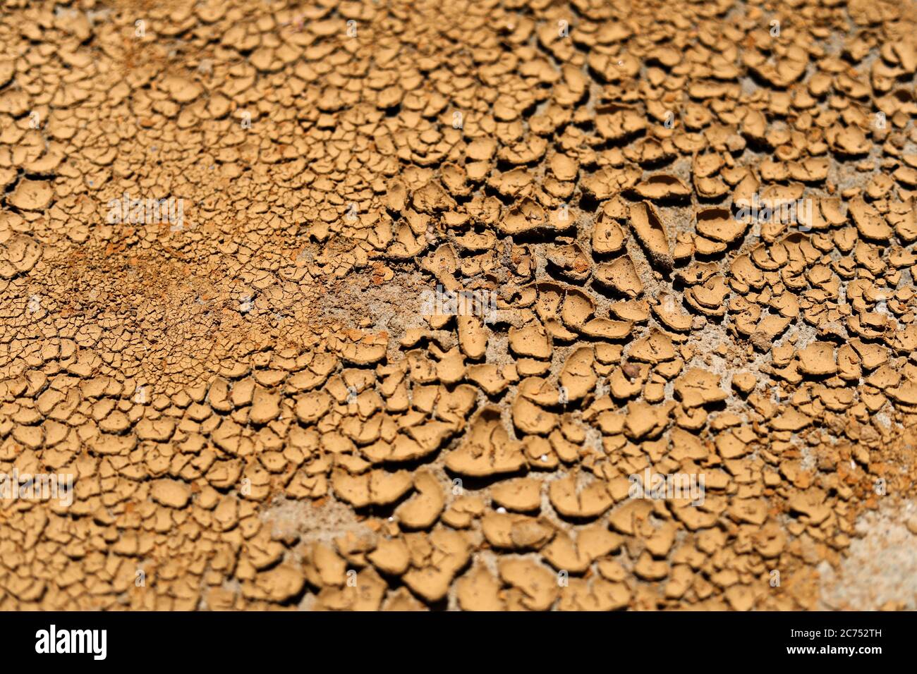 cracked clay ground into the dry seasons Stock Photo - Alamy