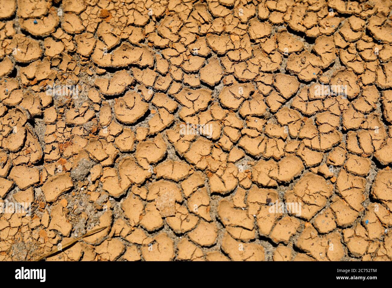 Dry land. Cracked ground backgrounds Stock Photo - Alamy