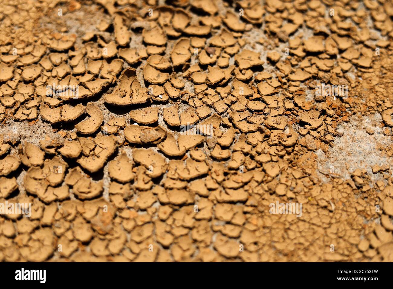 cracked clay ground into the dry seasons Stock Photo - Alamy