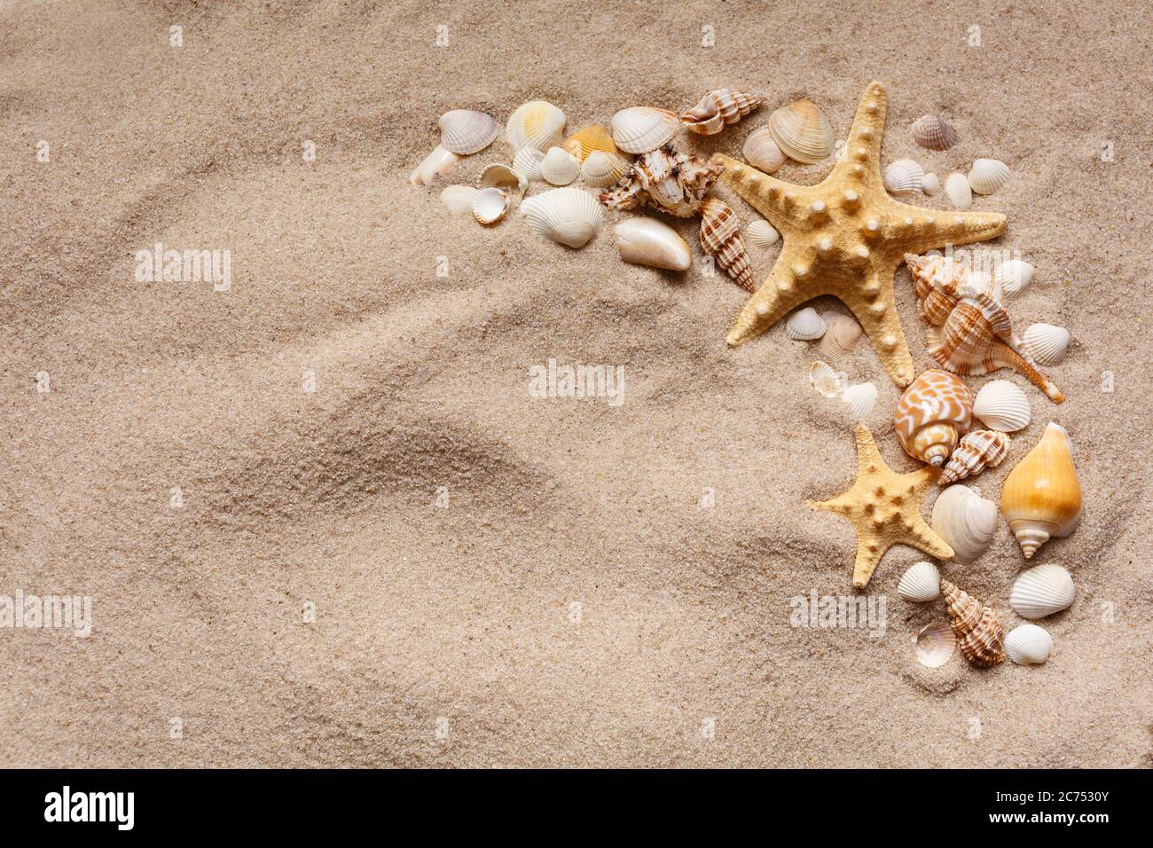 Summer background starfish and seashells on clean sand Stock Photo - Alamy