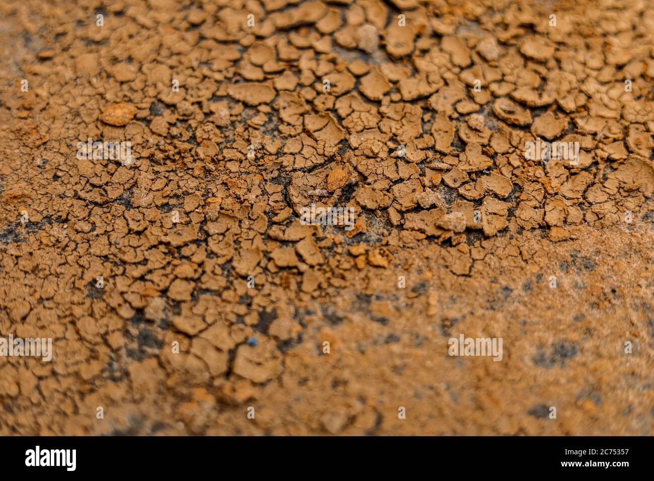 cracked clay ground into the dry seasons Stock Photo - Alamy