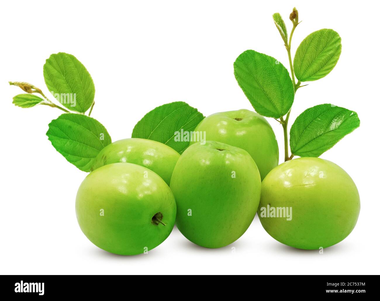 Jujube fruit isolated on white background Stock Photo - Alamy