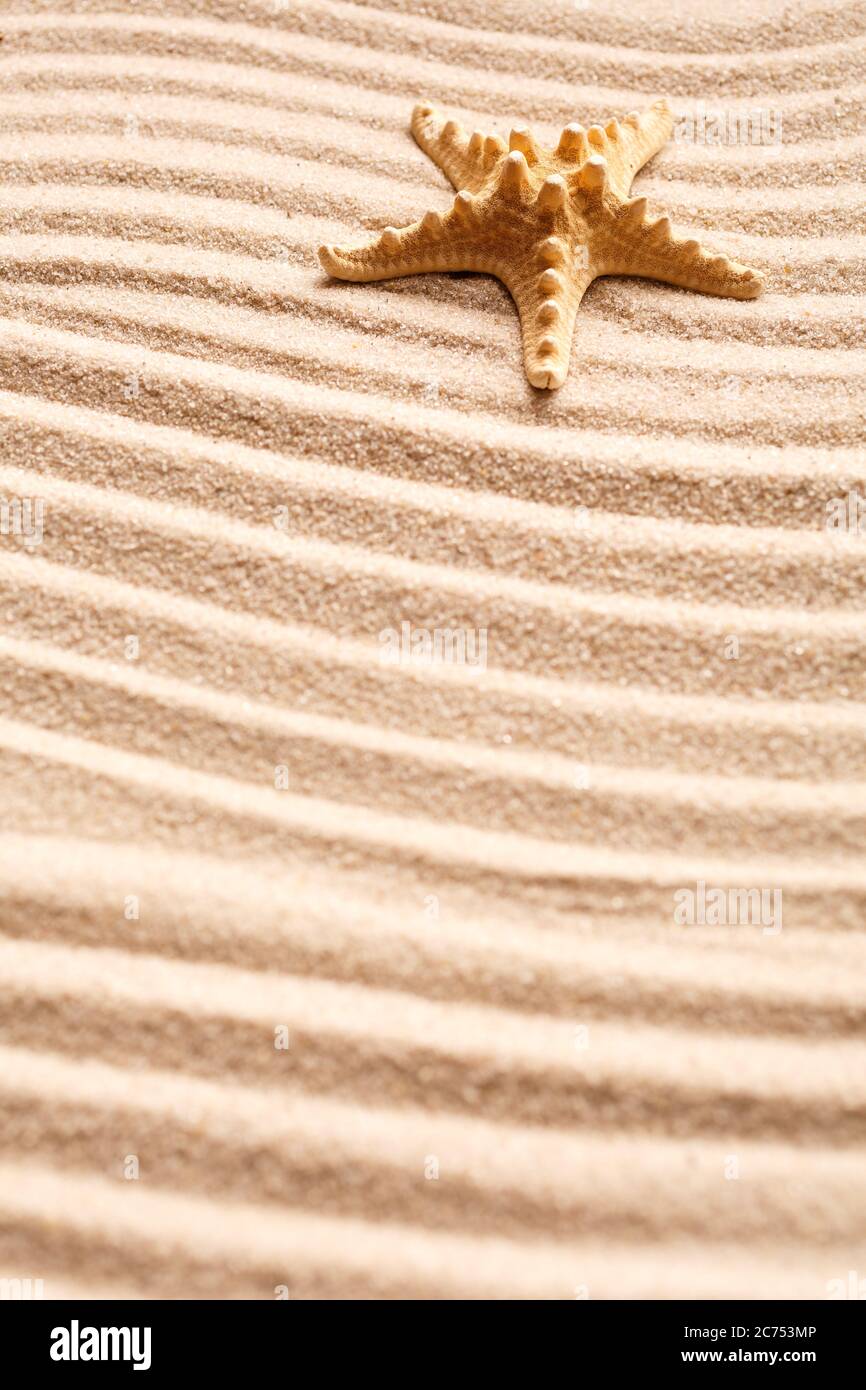Starfish beach sand texture hi-res stock photography and images - Alamy