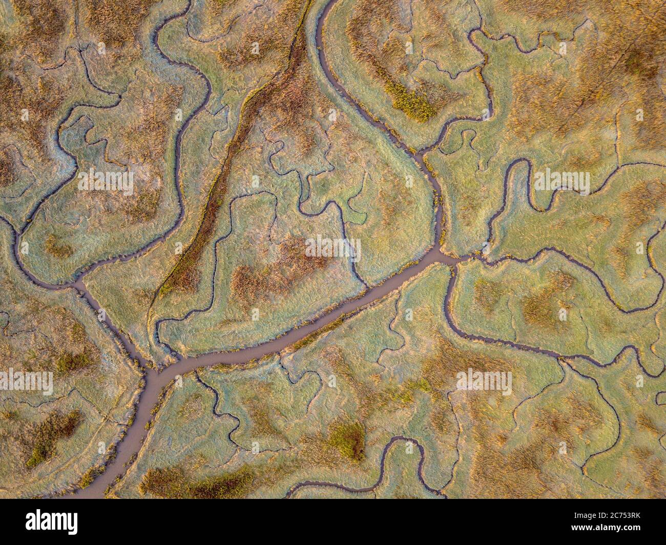 Aerial top down view of tidal marshland with natural meandering ...