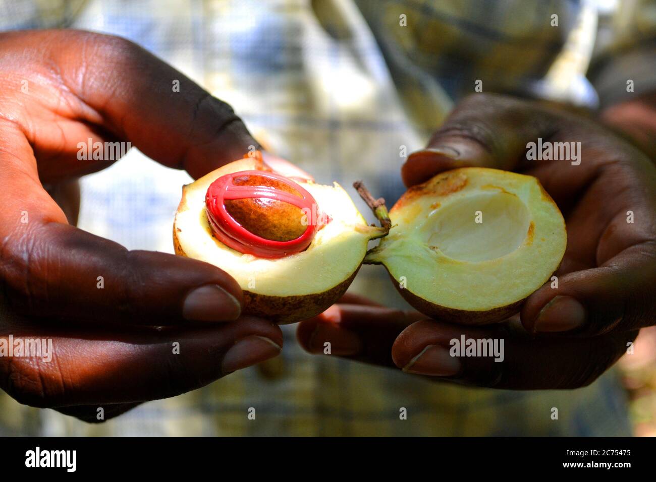 Zanzibar spice hi-res stock photography and images - Alamy