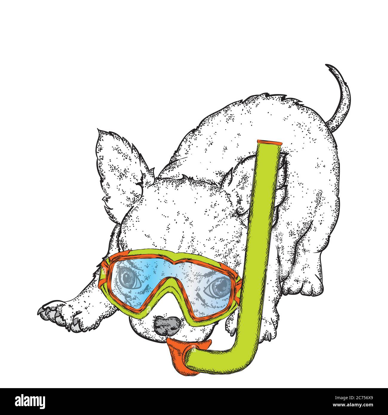Dog diving in the water Stock Vector Images - Alamy