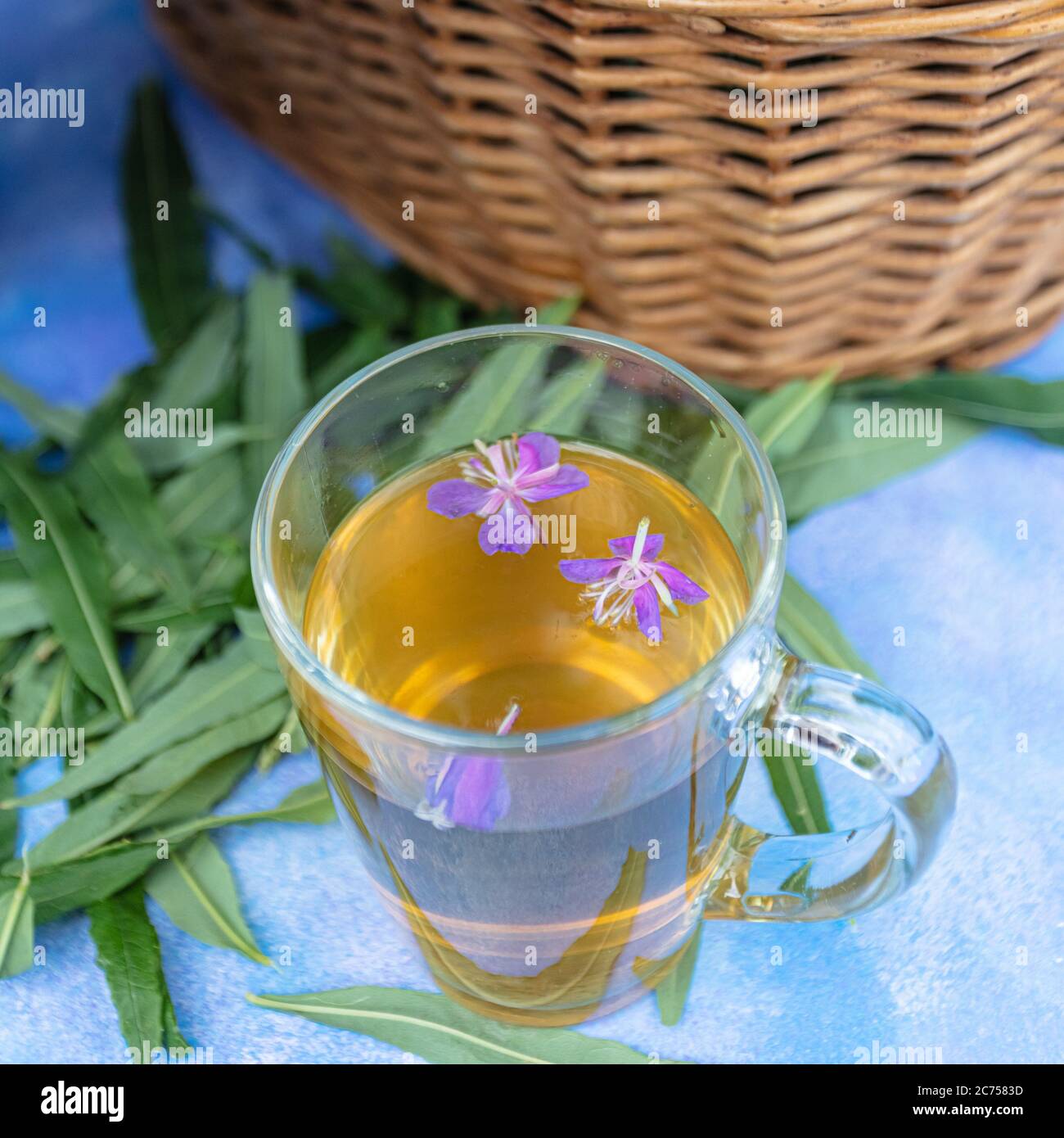 Traditional Russian herbal drink Ivan tea in a transparent cup. Close ...