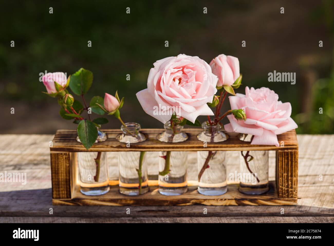 The pink rose flowers in chemical flasks outdoors Stock Photo - Alamy