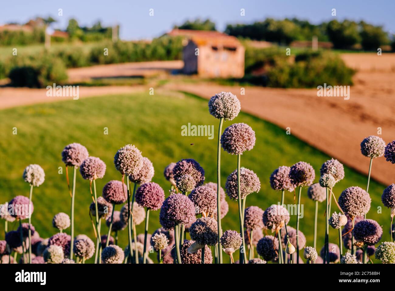 Marche region landscape hi-res stock photography and images - Alamy