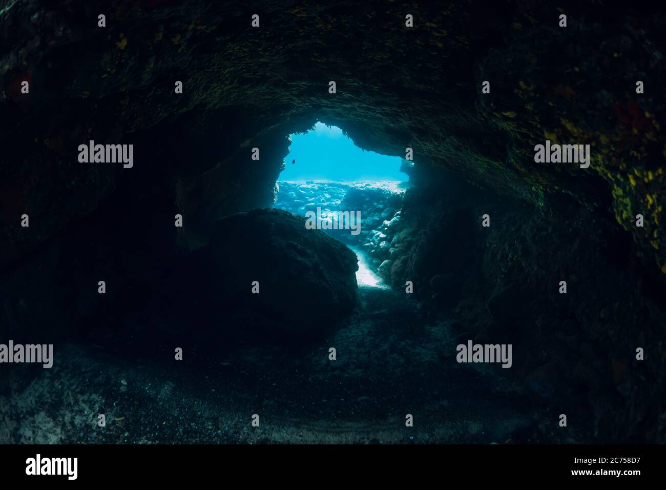 Underwater cave diving hawaii hi-res stock photography and images - Alamy