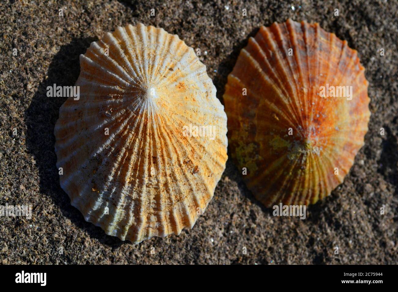 Senegal two hi-res stock photography and images - Alamy